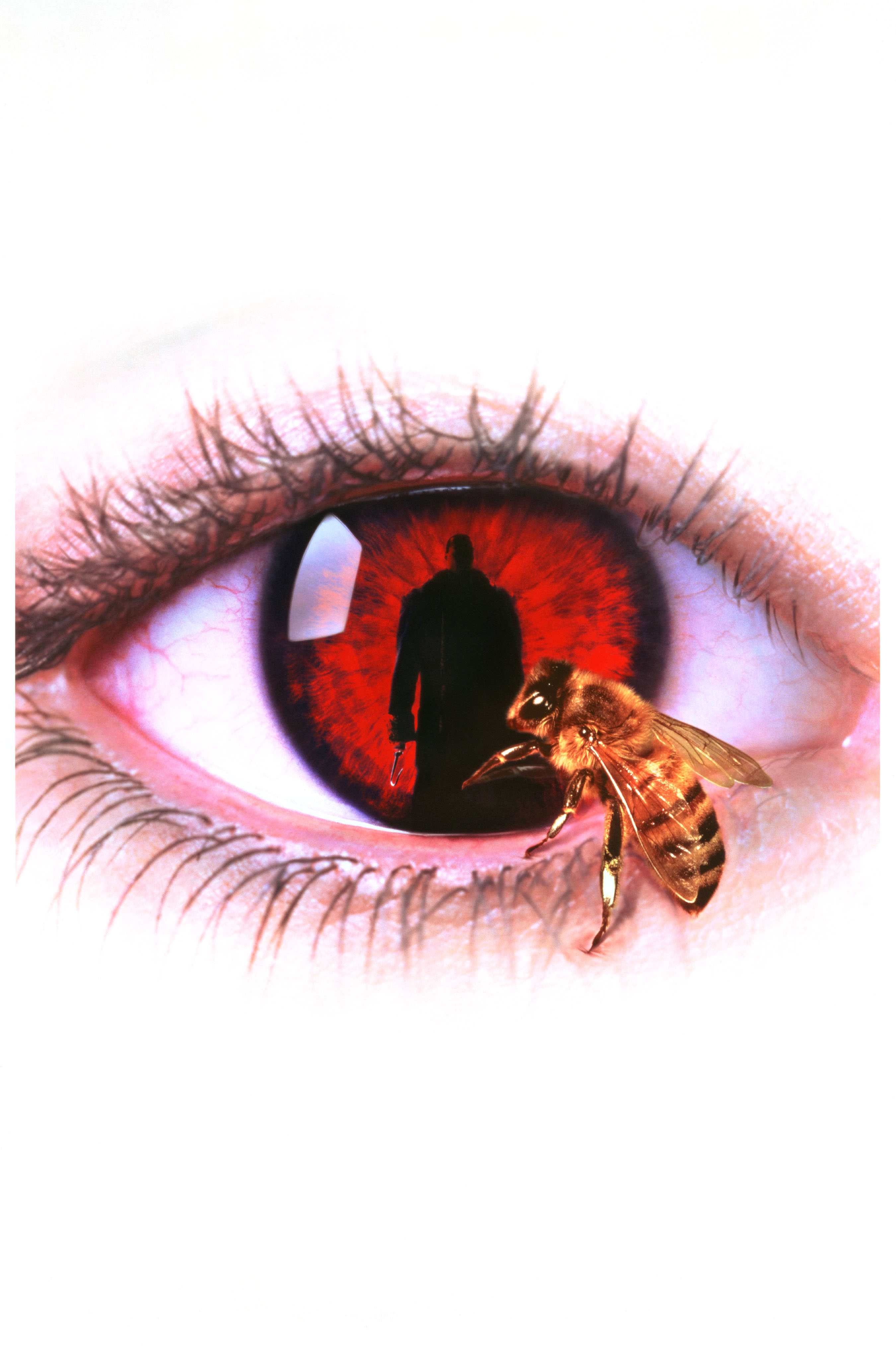 Candyman El Dominio De La Mente Candyman 1992 C rtelesmix Candyman El Dominio De La Mente Candyman 1992 C rtelesmix